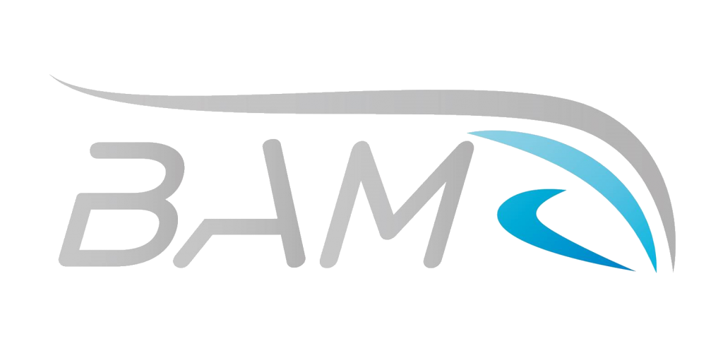 LOGO BUSBAM TRANSPARENTE - Bus BAM